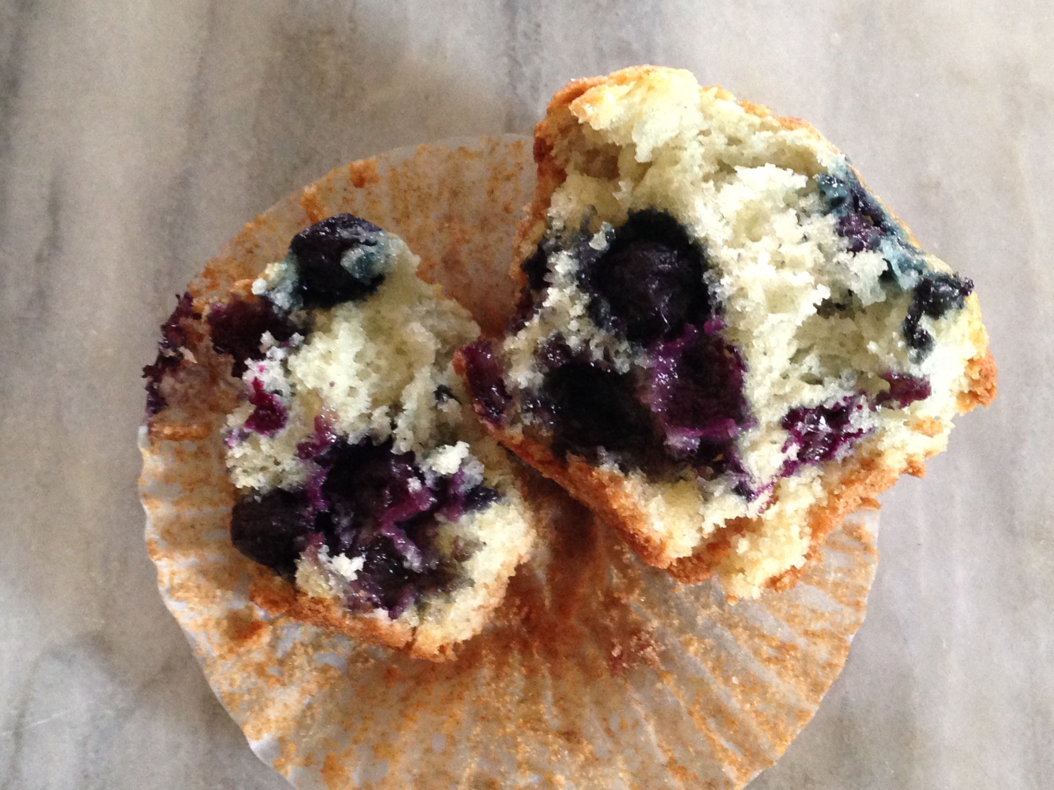 Blueberry Muffins | apuginthekitchen